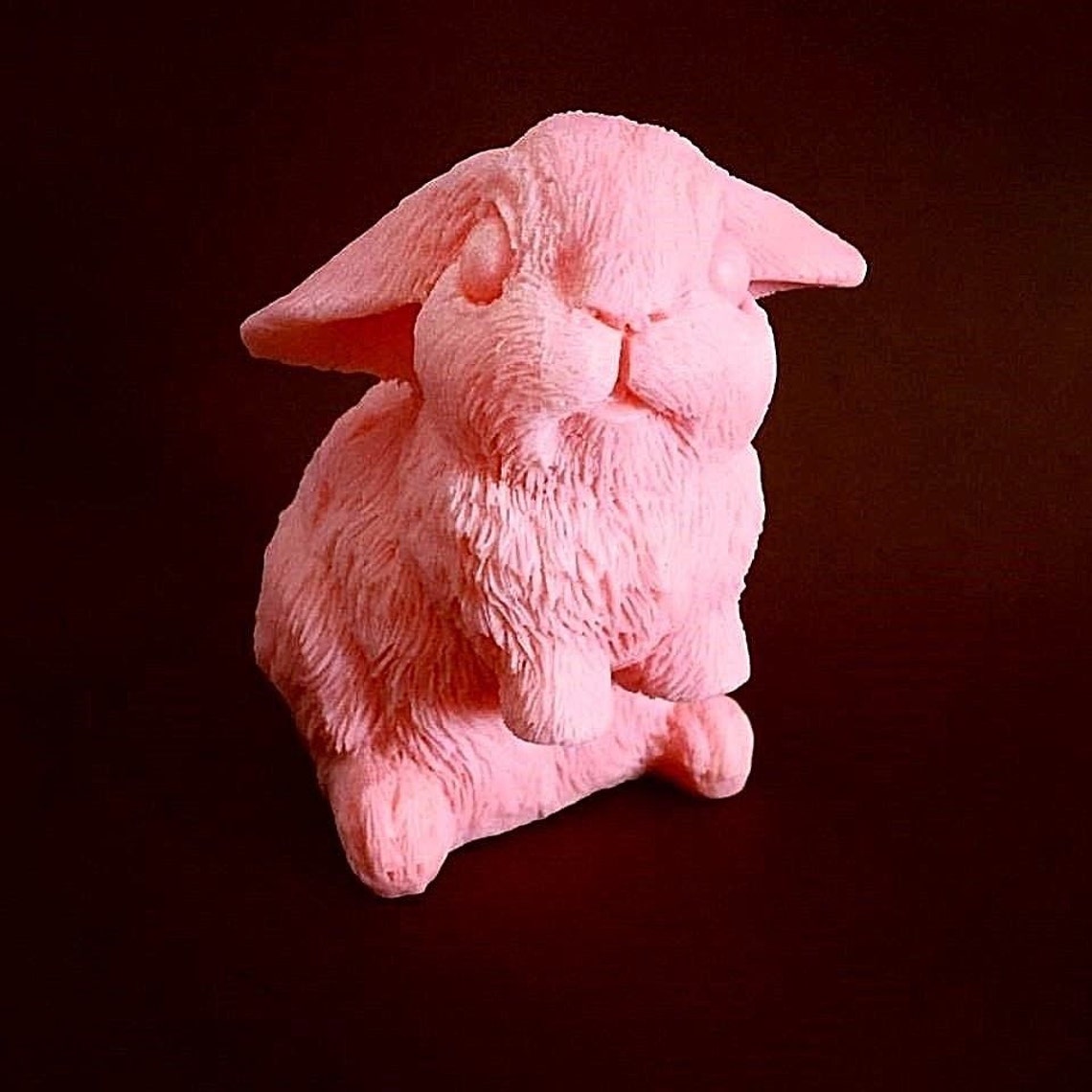 Silicone Bunny Mold 3D Rabbit Mold Silicone Rabbit Mold | Etsy