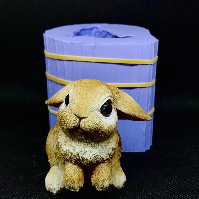 Silicone bunny Mold 3D rabbit mold Silicone rabbit Mold | Etsy