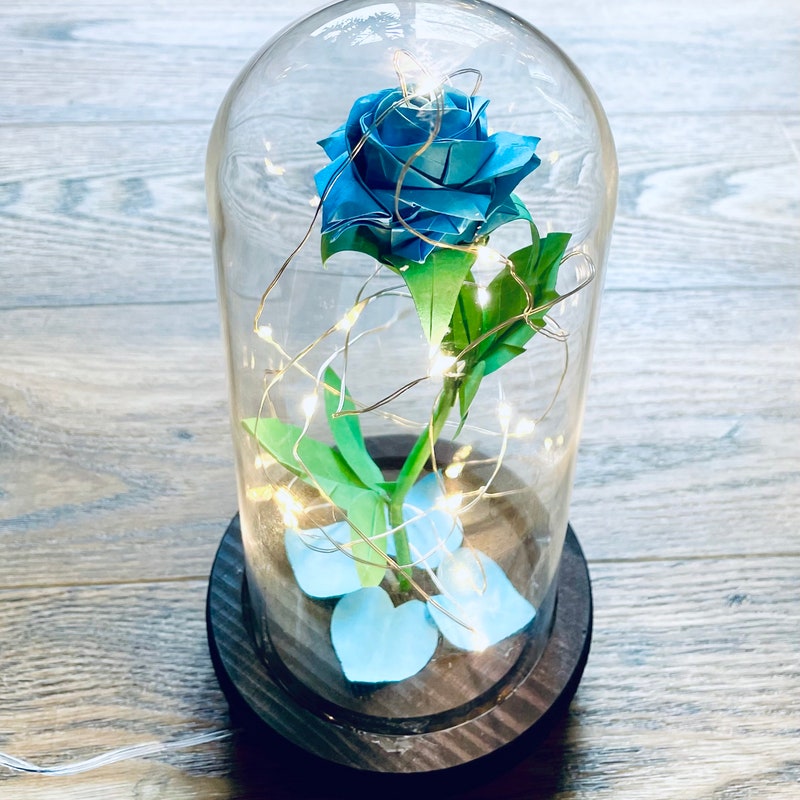 Rose in Glass Dome - Etsy