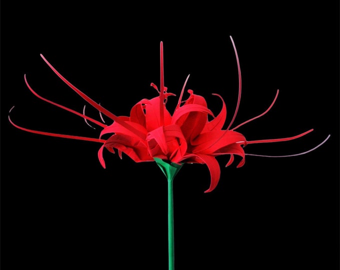 Paper Origami Spider Lily - Lycoris Radiat - Etsy