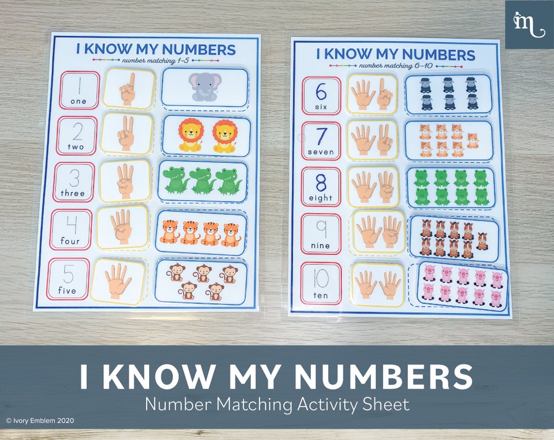 Number Matching Activity Sheet | Busy Binder | Preschool - Etsy