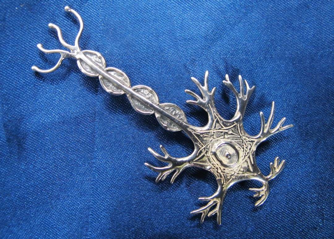 Sterling Nerve Cell Neuron Artist Signed Brooch 6.6 Grams - Etsy