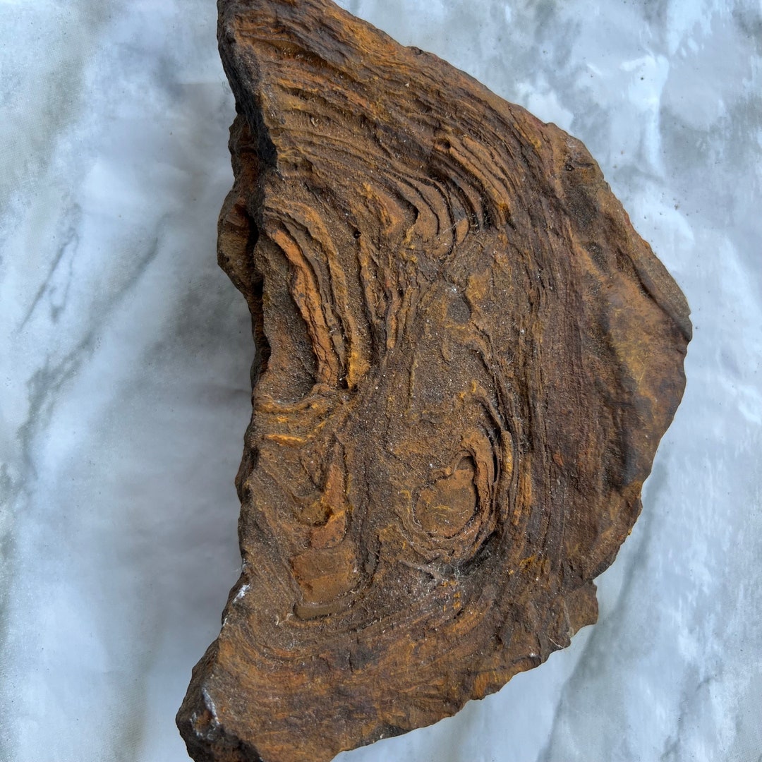 Flat Rock Slice Ocean Beach Wave Look Paperweight Geology Decor ...