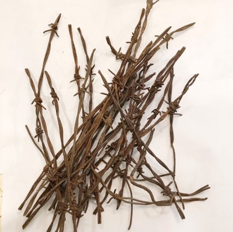 Rusty Barb Wire Sticks Lot of 12 Craft Supply Farmhouse Industrial ...