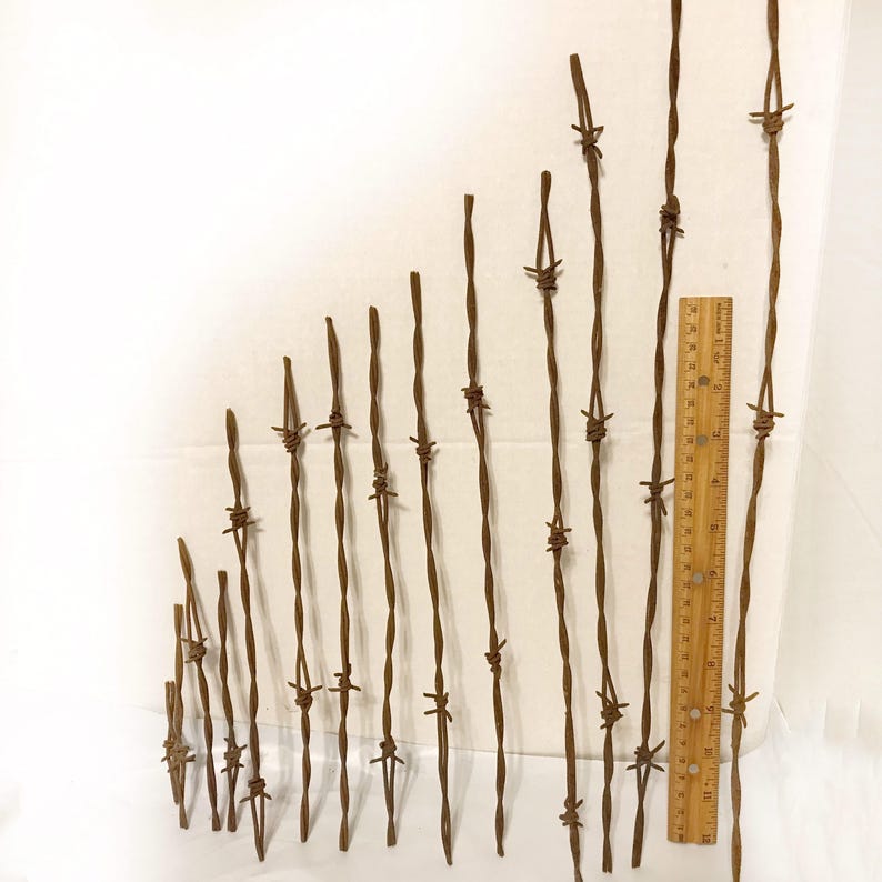 Rusty Barb Wire Sticks Lot of 12 Craft Supply Farmhouse Industrial ...
