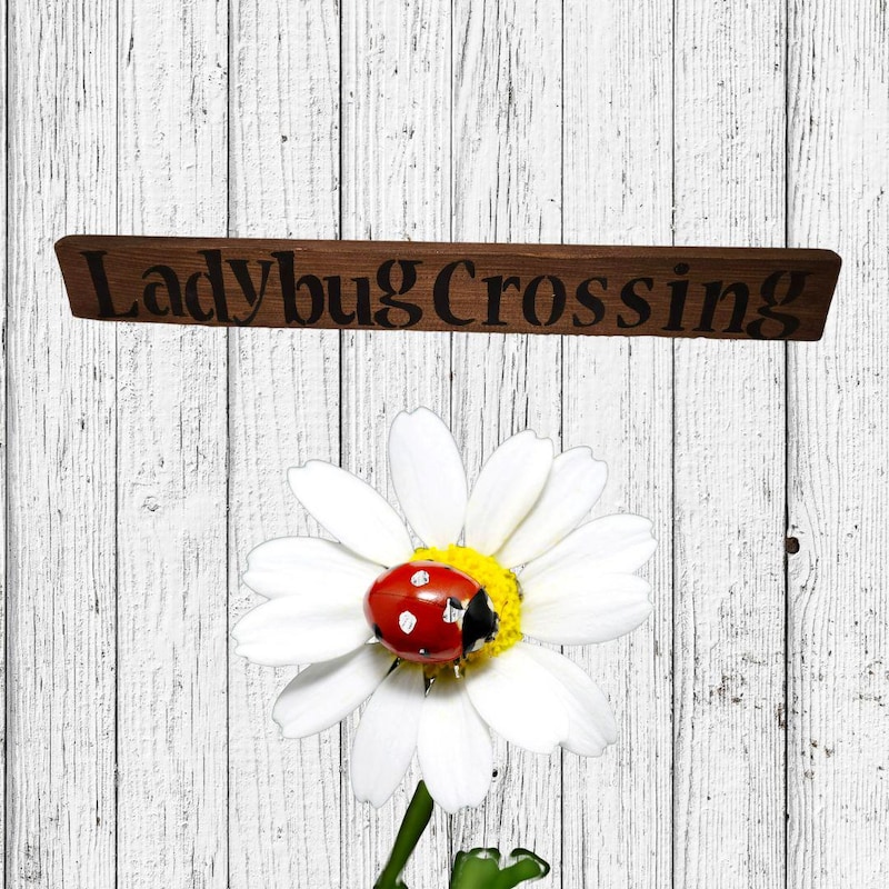 Ladybug Crossing Sign - Etsy