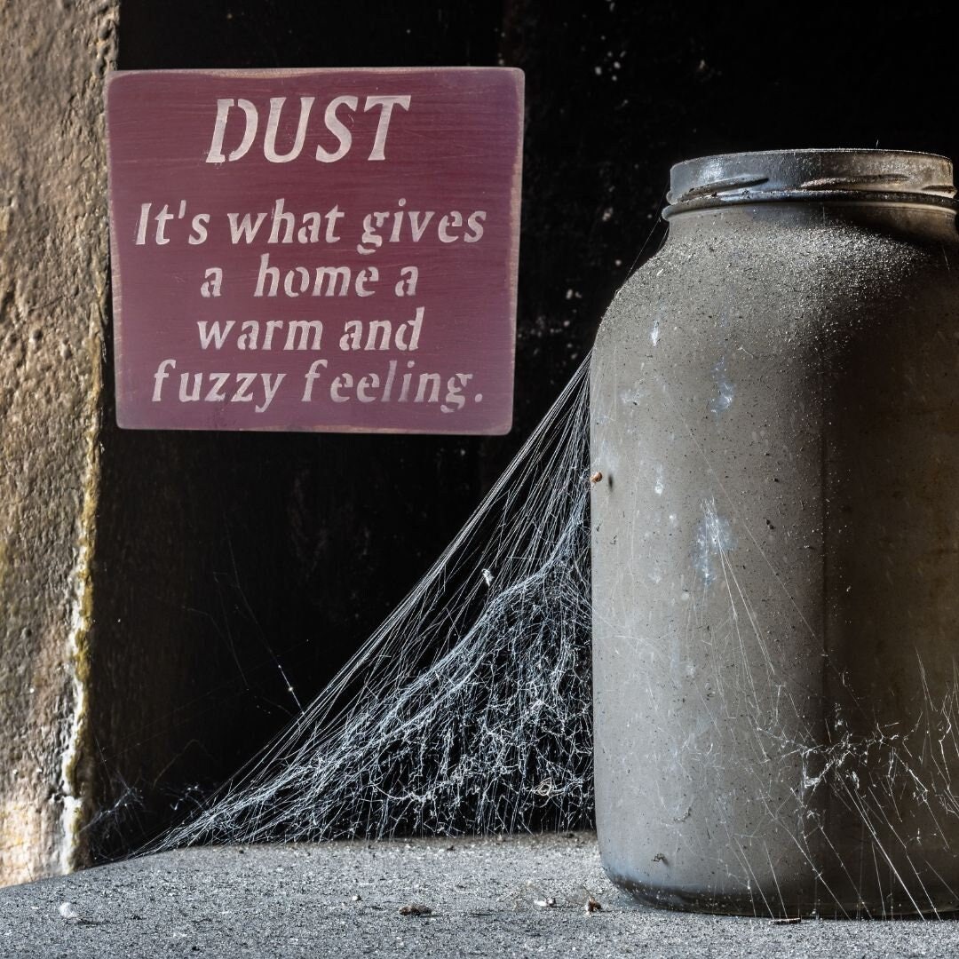 DUST Funny Wood Sign: Distressed Primitive Home Decor (5.5" X 5.5") - Etsy