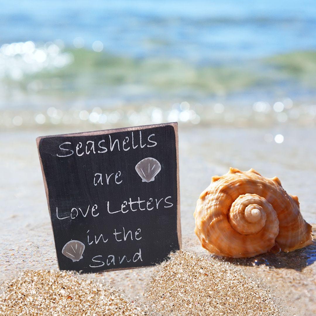 Seashells Love Letters Wood Sign: Distressed Beach Decor (6.5" X 5.5 ...