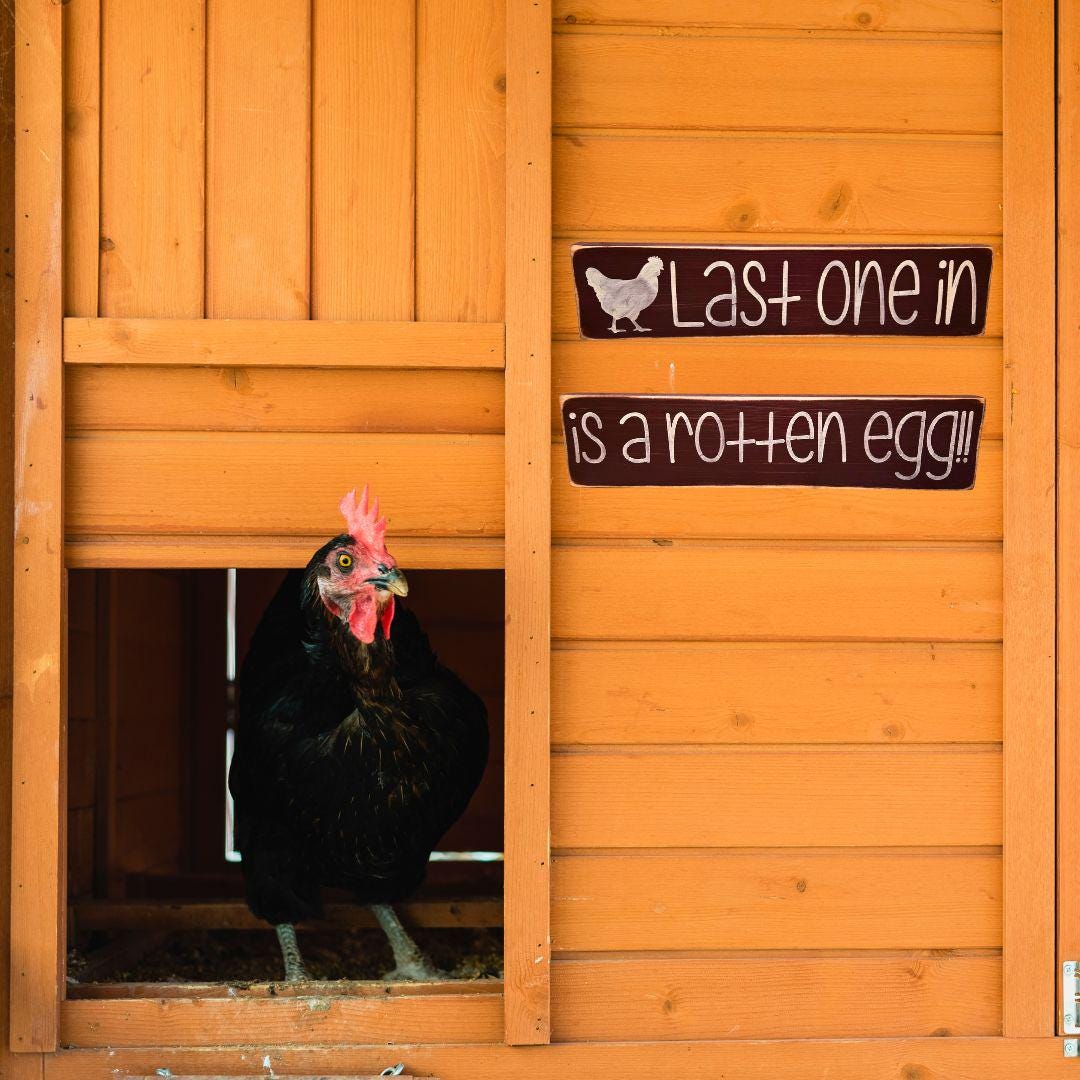 Last One in is a Rotten Egg, Chicken Sign, Hen House, Farm Sign, Barn ...