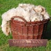 Sheep Wool, Sheep, Primitive Signs, Farmhouse, Home Decor, Wood Sign ...