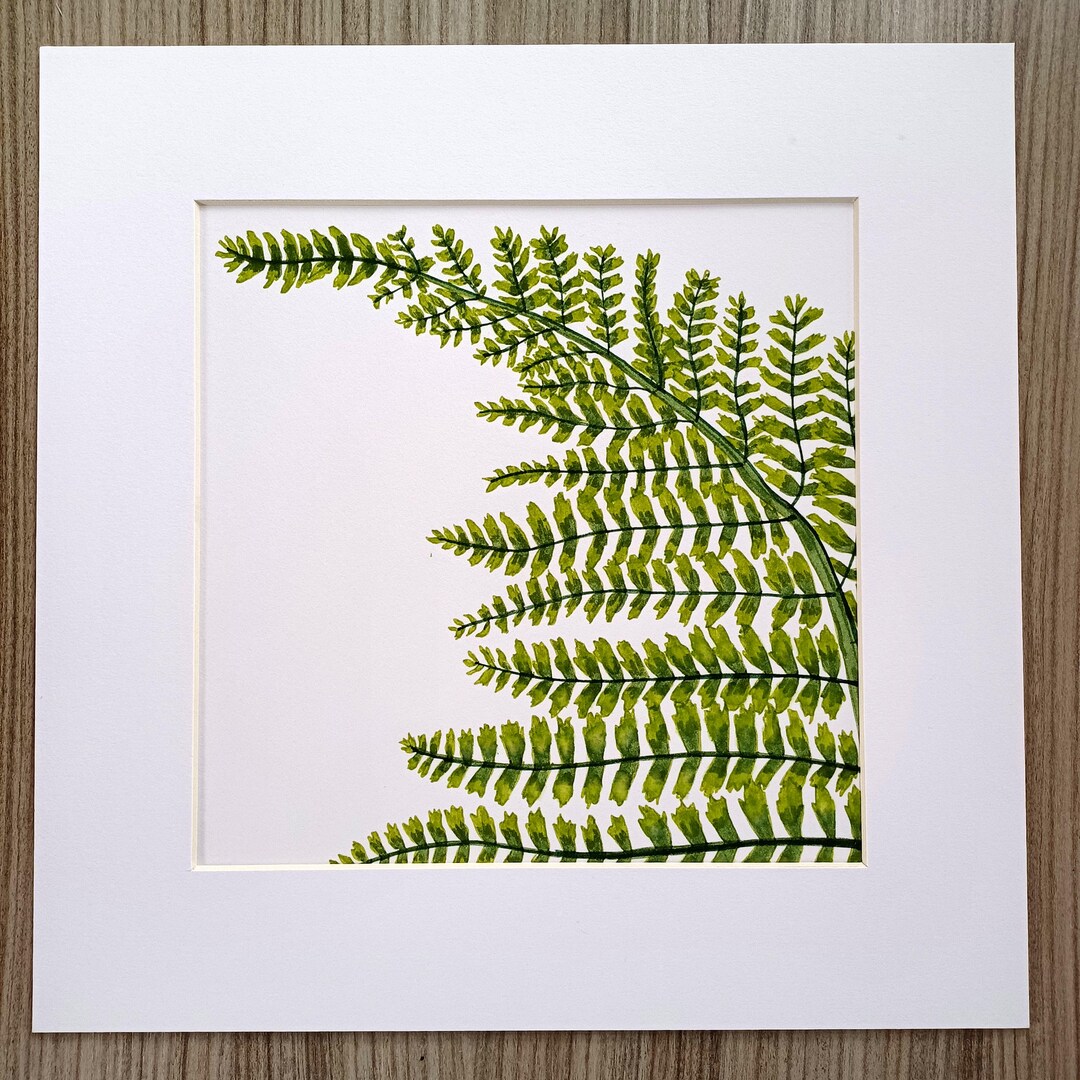 Fern Leaf // Original Mounted Drawing // Charlotte Orr // Brush Pens - Etsy
