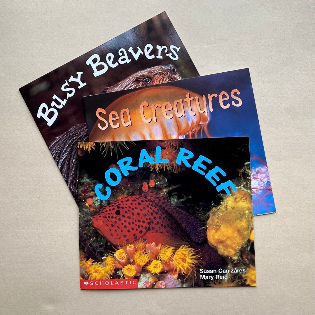 Lot of 3 Illustrated Scholastic Science Books, Science Emergent Readers ...