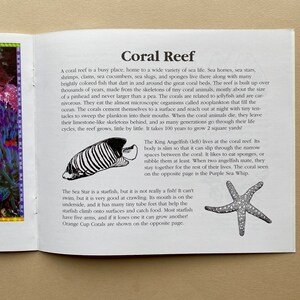 Lot of 3 Illustrated Scholastic Science Books, Science Emergent Readers ...