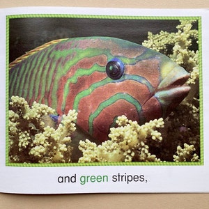 Lot of 3 Illustrated Scholastic Science Books, Science Emergent Readers ...