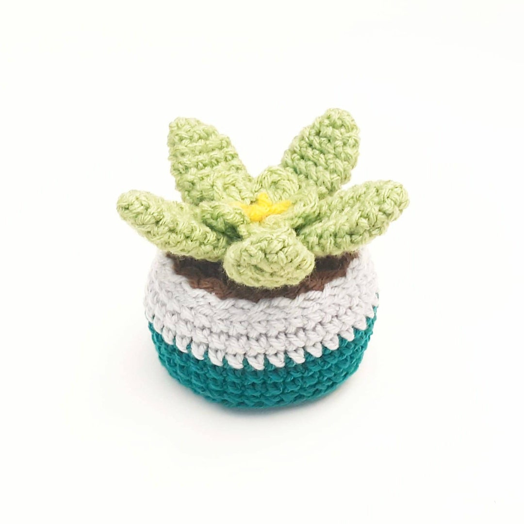Succulent Plush Stuffed Decoration Plushie Home Decor 5 Inches Handmade ...
