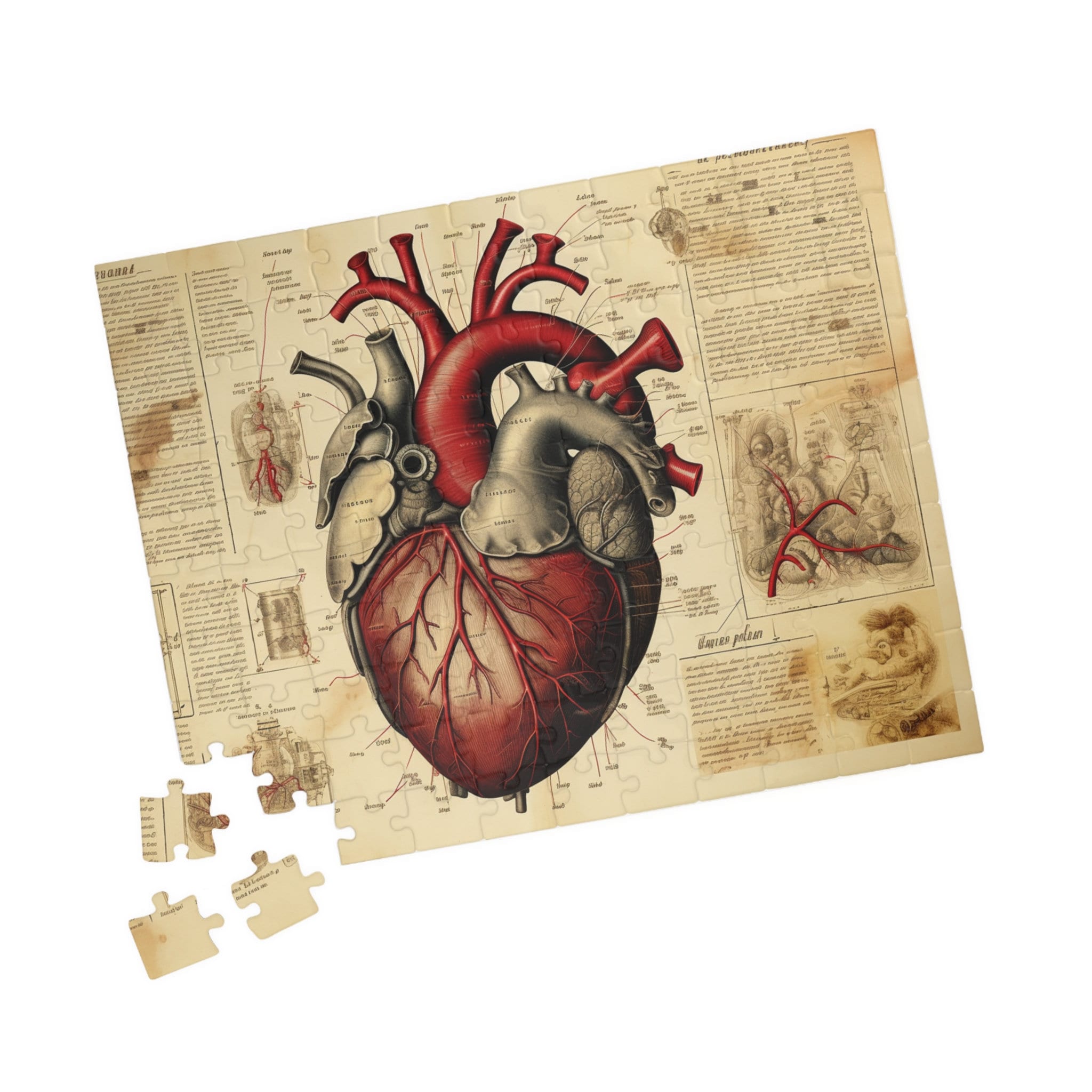 Heart Anatomy Puzzle 110, 252, 520, 1014-piece Medical, Cardiology ...