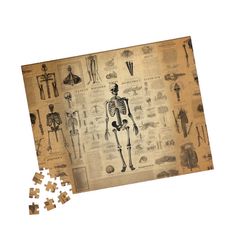 Skeleton Anatomy Puzzle 110, 252, 520, 1014-piece, Medical, Jigsaw ...