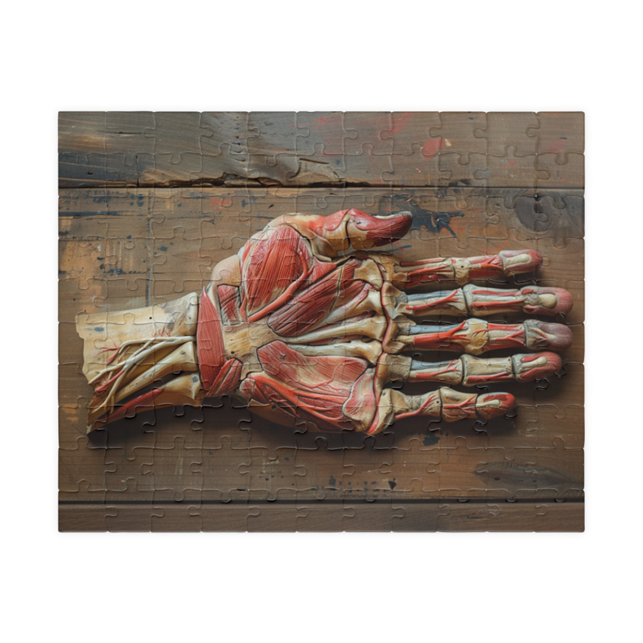 Hand Anatomy Puzzle 110, 252, 520, 1014-piece - Etsy
