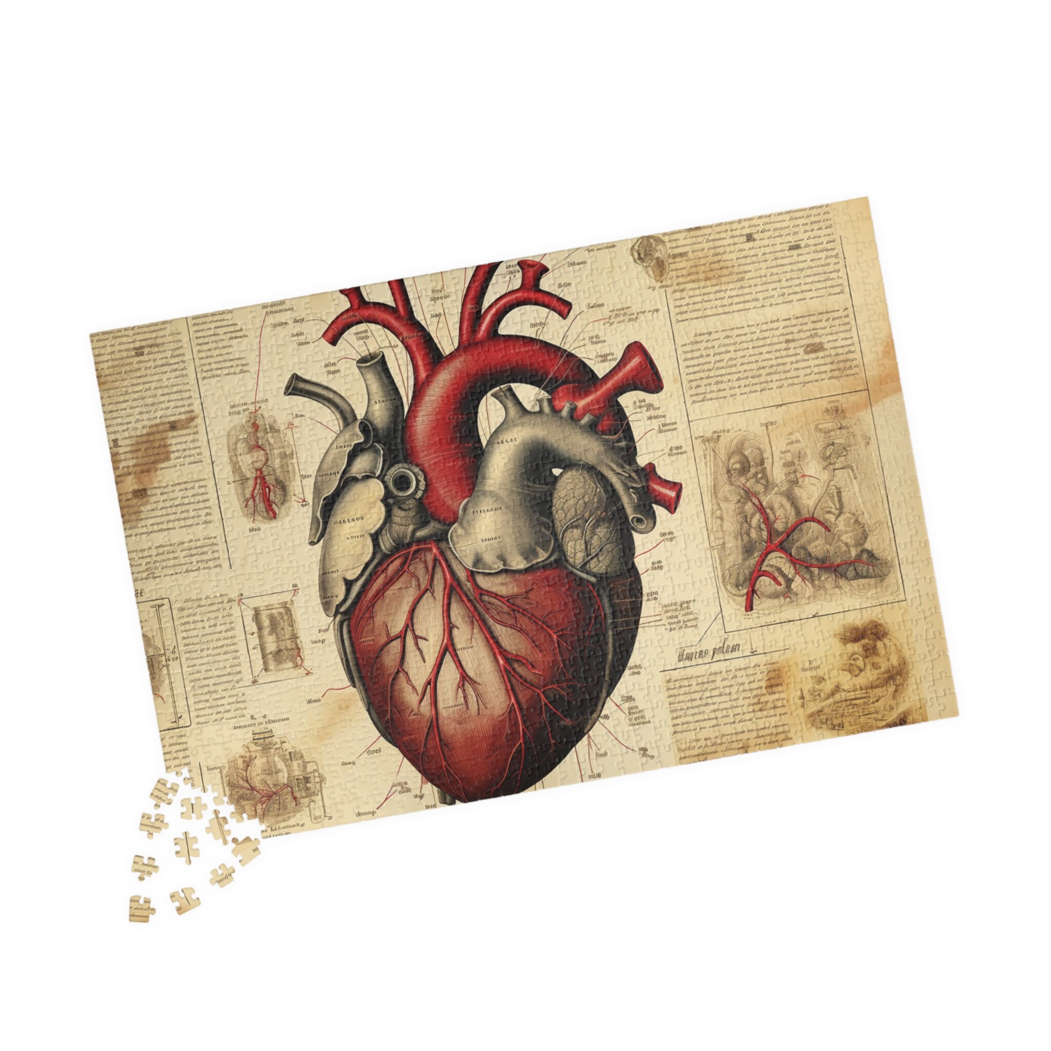 Heart Anatomy Puzzle 110, 252, 520, 1014-piece Medical, Cardiology ...