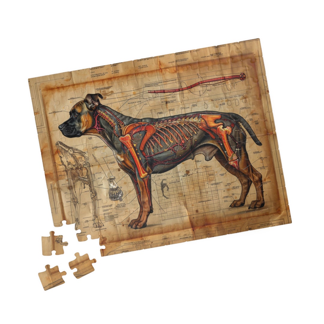 Rottweiler Dog Anatomy Puzzle 110, 252, 520, 1014-piece - Etsy
