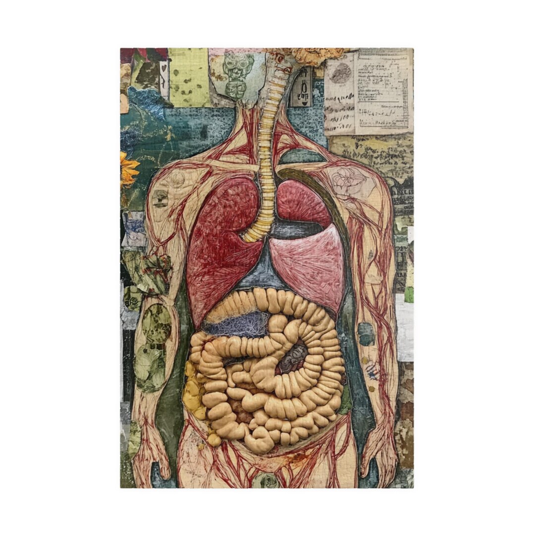 ON SALE, Digestion System Puzzle (110, 252, 520, 1014-piece) Anatomy ...