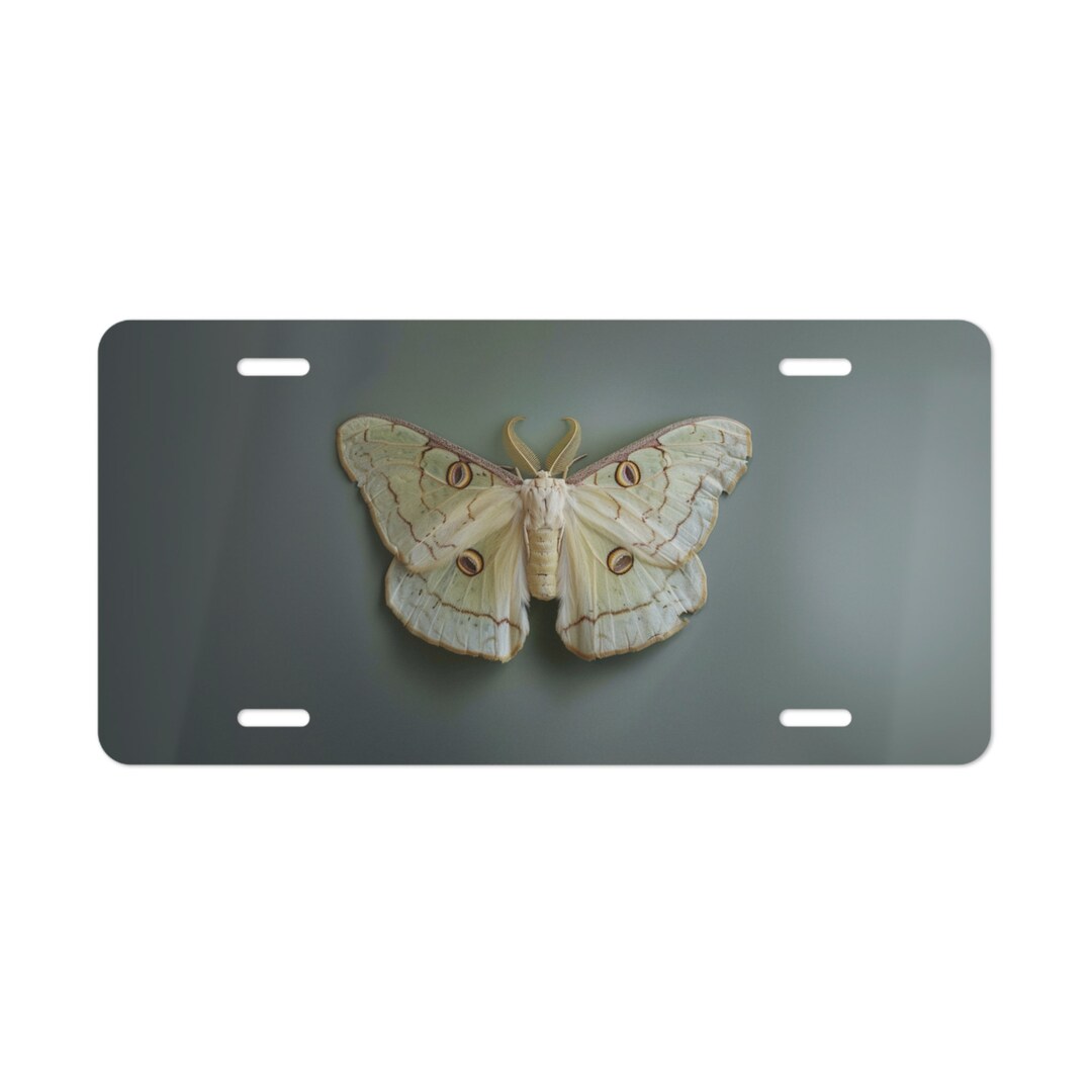 White Moth Vanity Plate Grey - Etsy