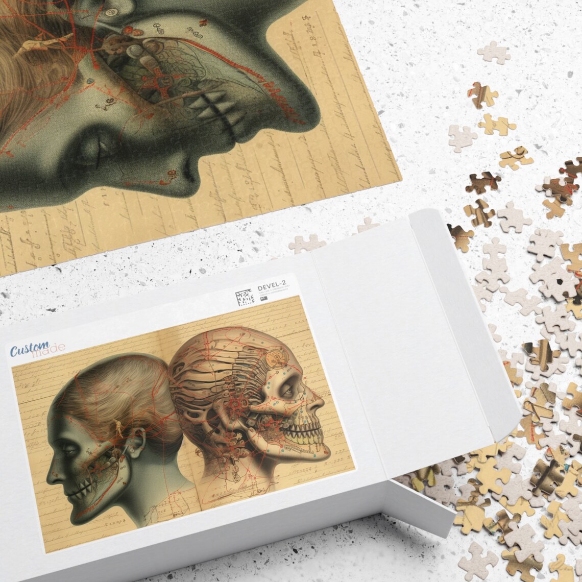 Anatomy Skull Puzzle 110, 252, 520, 1014-piece Medical Puzzle, Jigsaw ...
