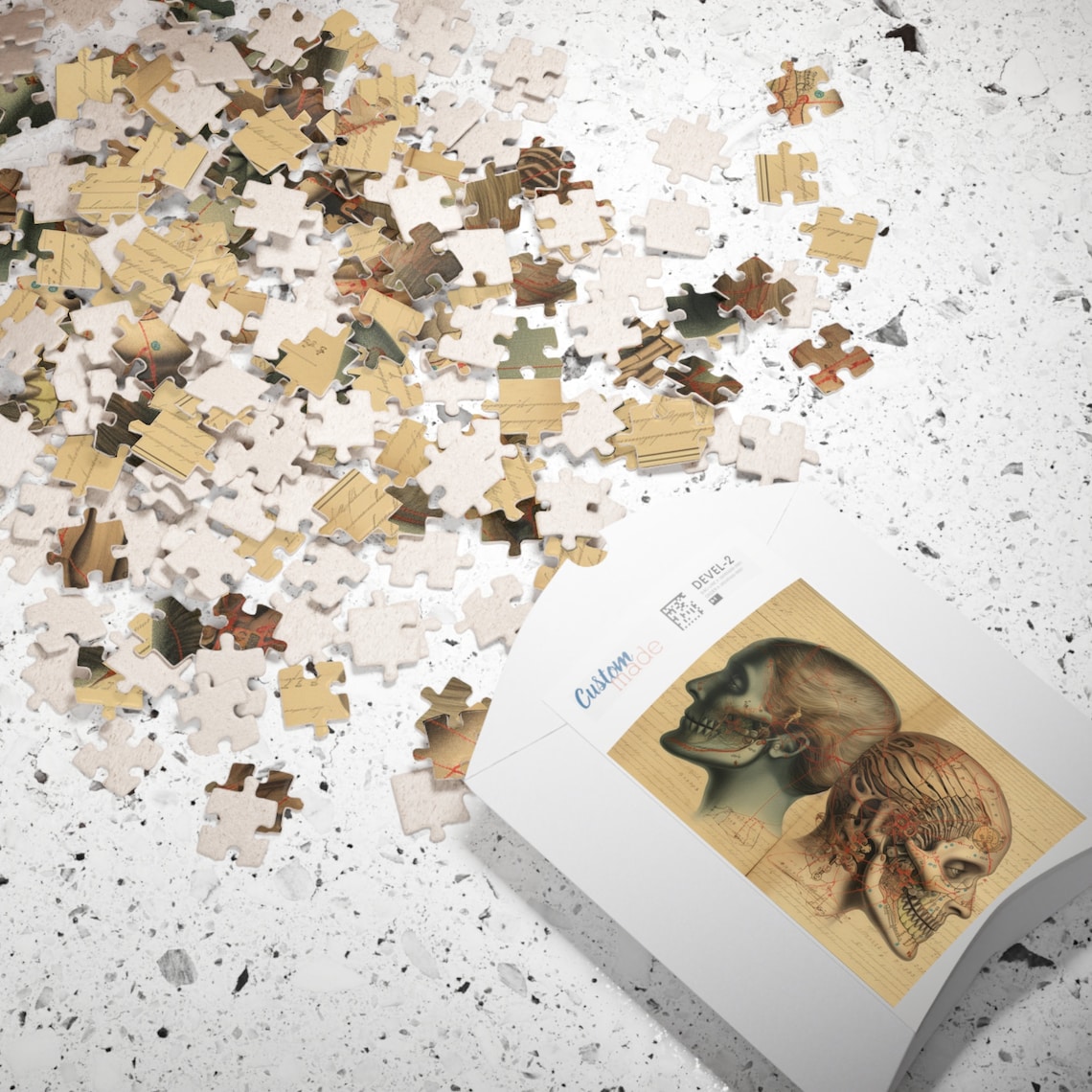 Anatomy Skull Puzzle 110, 252, 520, 1014-piece Medical Puzzle, Jigsaw ...