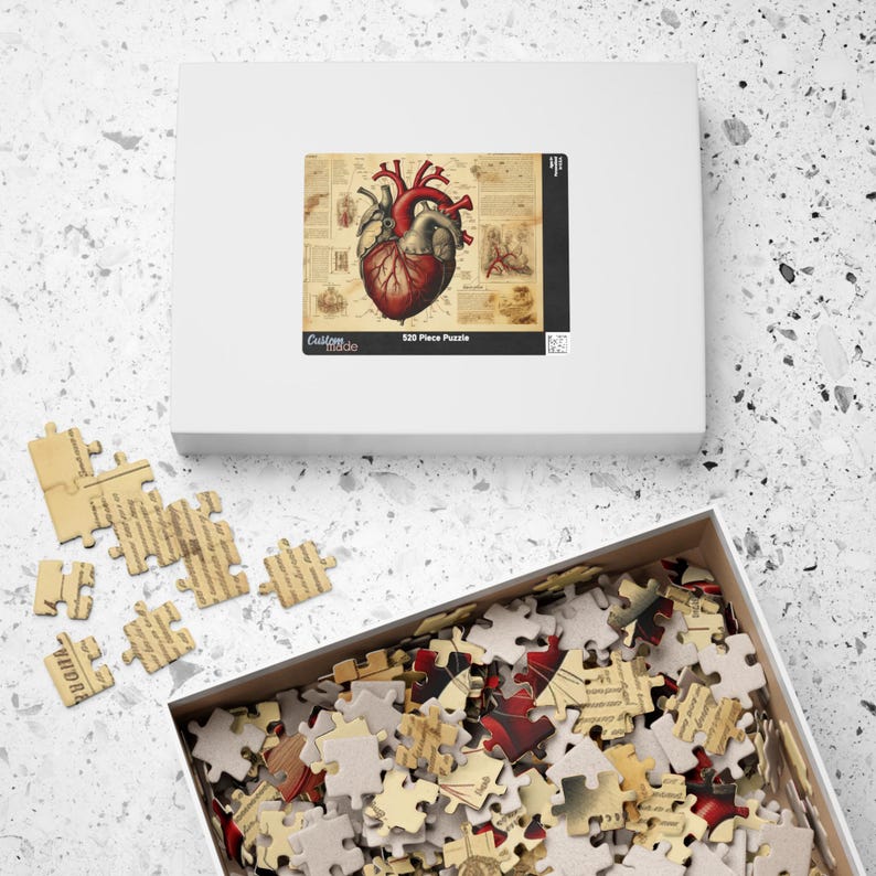 Heart Anatomy Puzzle Educational Science Gift for Medical School Study ...