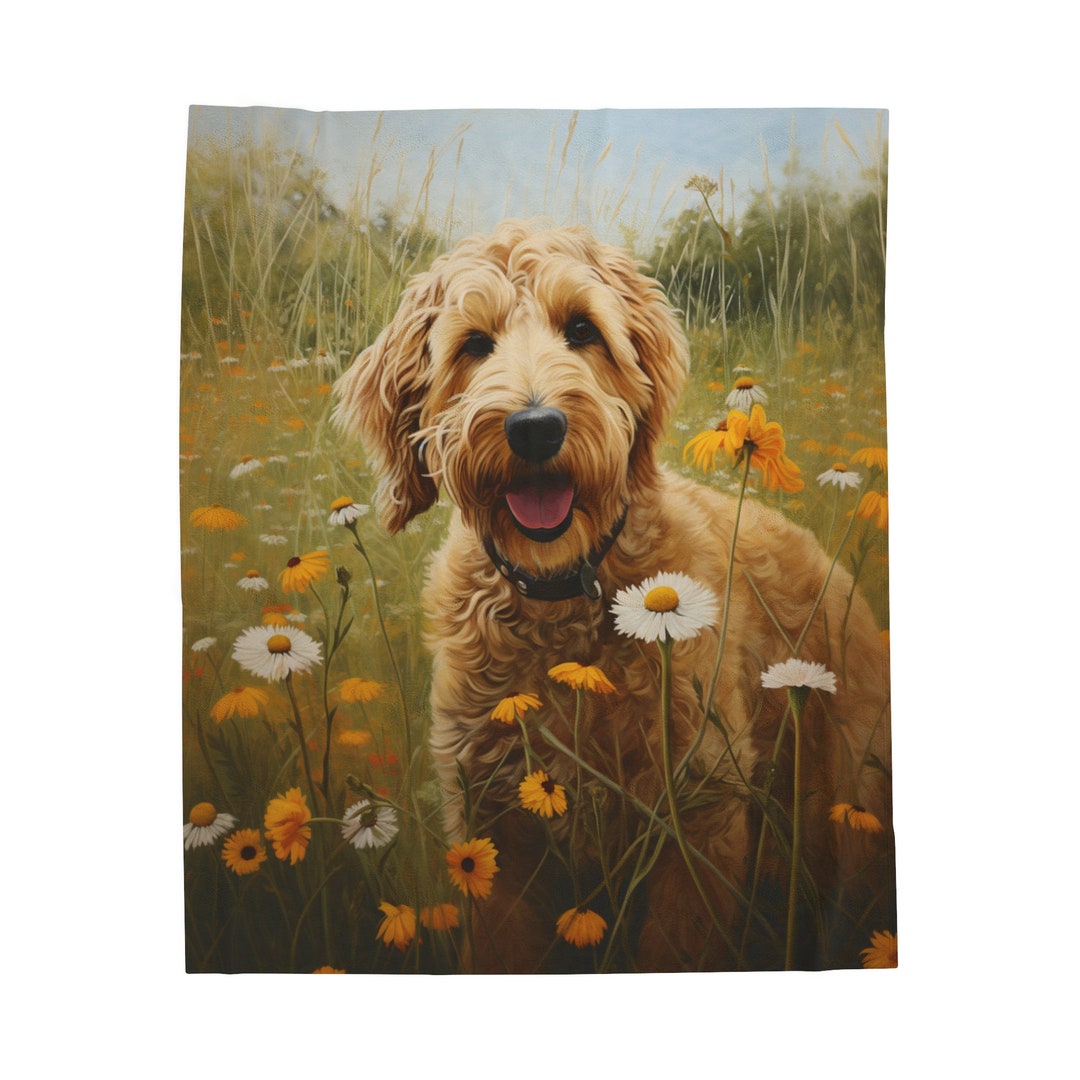 Golden Doodle Blanket, Velveteen Plush Blanket - Etsy