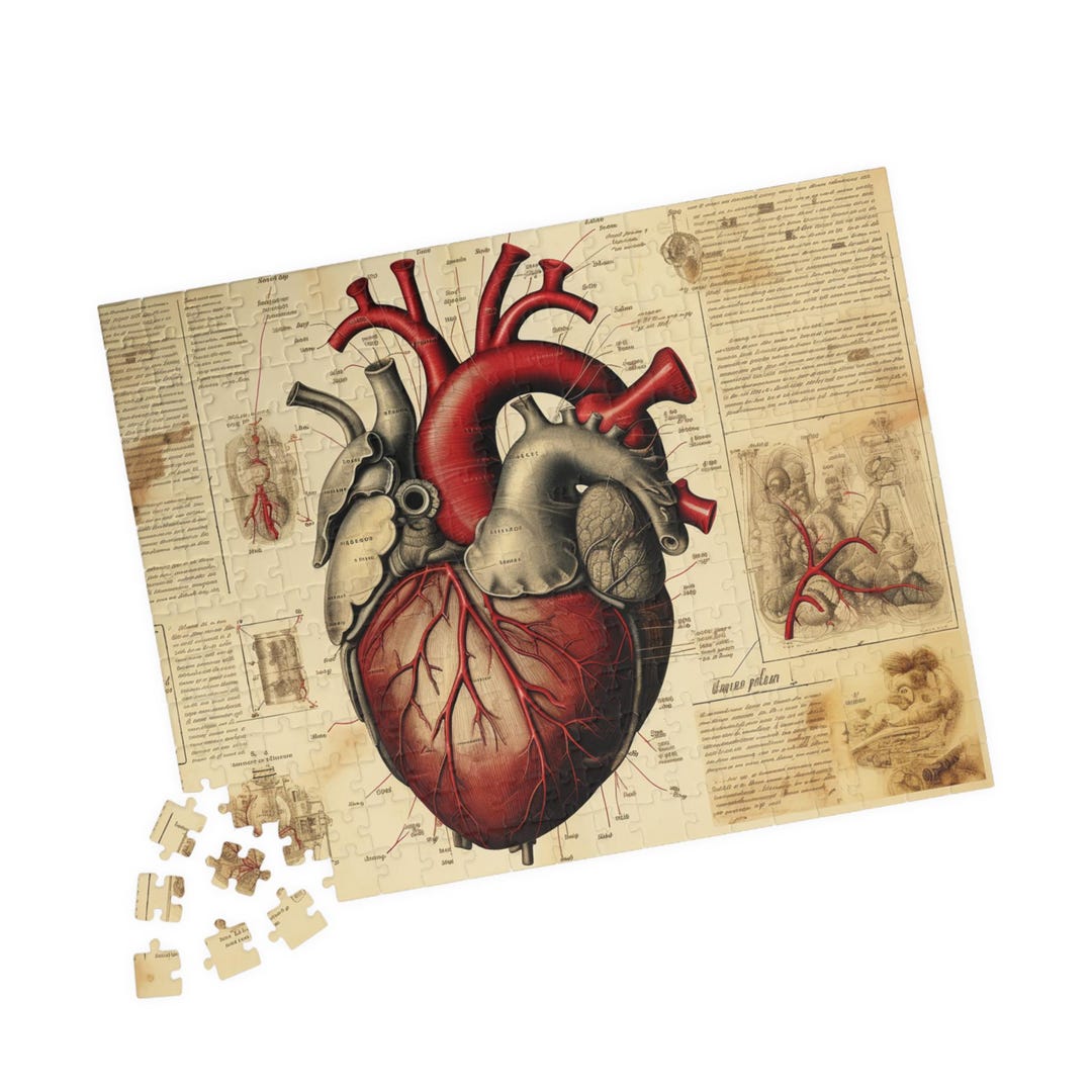 Heart Anatomy Puzzle Educational Science Gift for Medical School Study ...