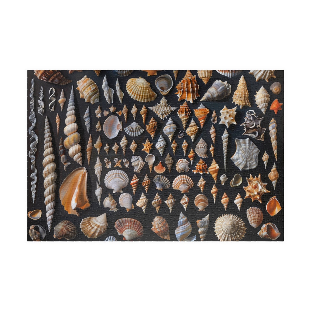 ON SALE, Types of Shells Puzzle (110, 252, 520, 1014-piece), Jigsaw ...
