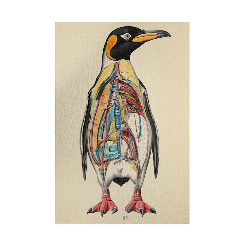Penguin Anatomy Puzzle (110, 252, 520, 1014-piece) Vet Gift - Etsy