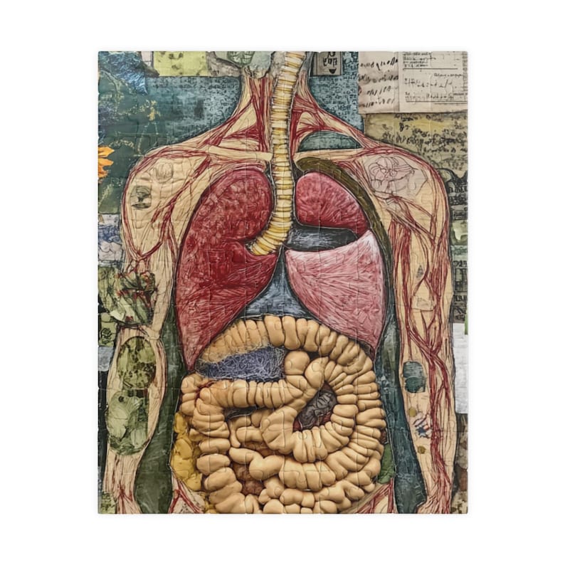 ON SALE, Digestion System Puzzle 110, 252, 520, 1014-piece Anatomy ...