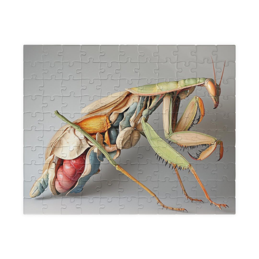 Preying Mantis Puzzle (110, 252, 520, 1014-piece) Anatomy Puzzle, Bug ...