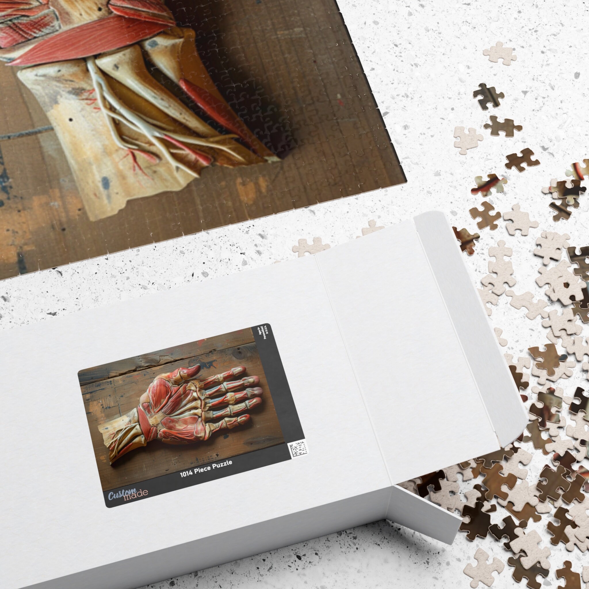 Hand Anatomy Puzzle 110, 252, 520, 1014-piece - Etsy