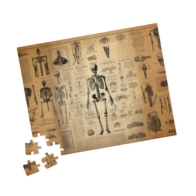 Skeleton Anatomy Puzzle 110, 252, 520, 1014-piece, Medical, Jigsaw ...