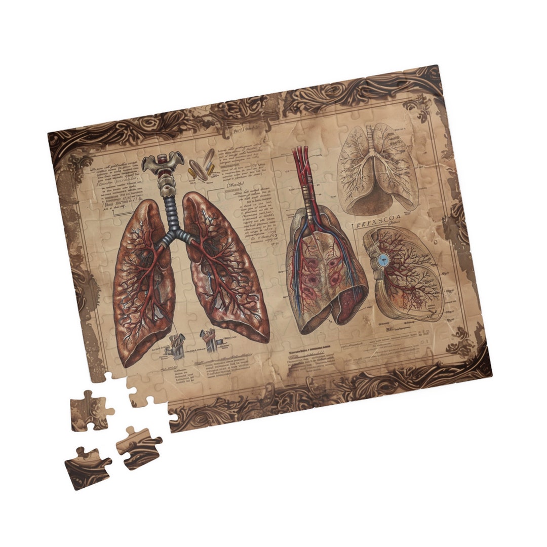 ON SALE, Lung Anatomy Puzzle (110, 252, 520, 1014-piece), Jigsaw Puzzle ...