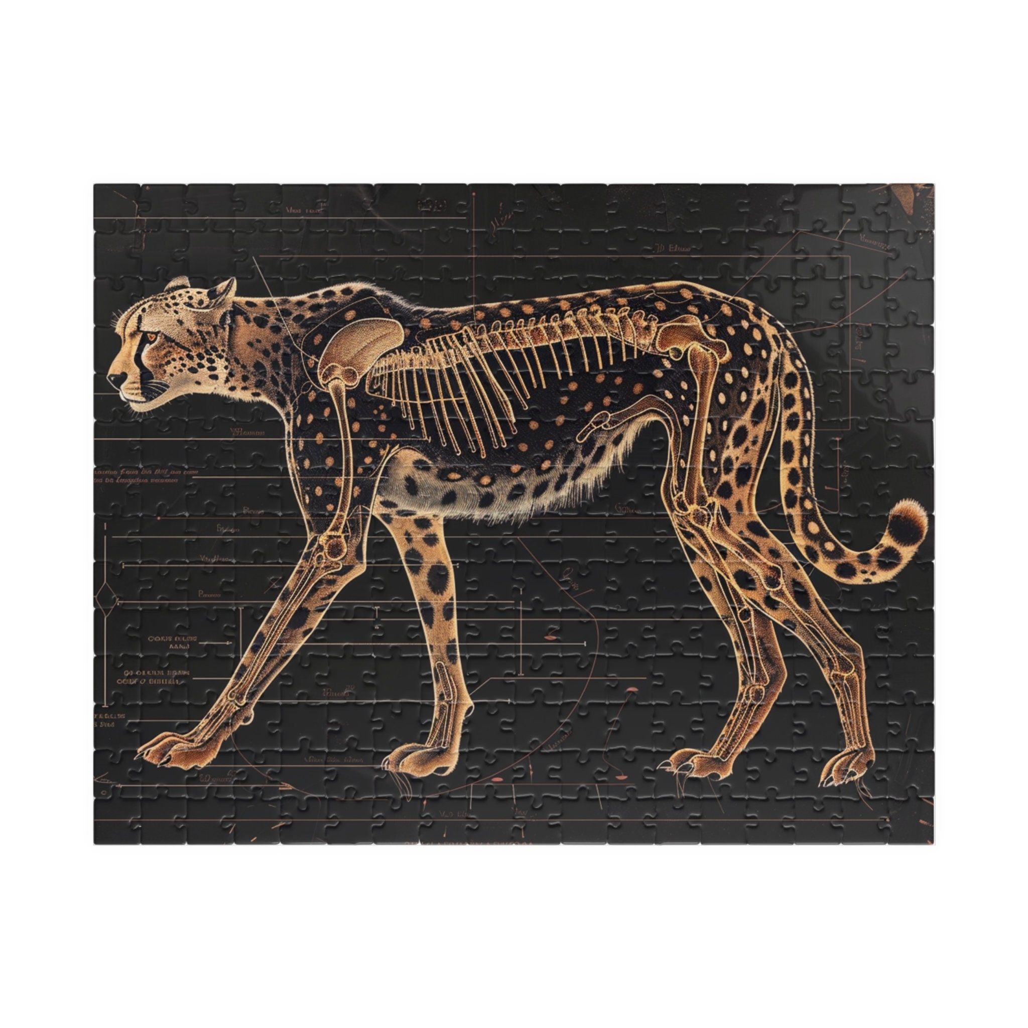 Cheetah Anatomy Puzzle 110, 252, 520, 1014-piece - Etsy