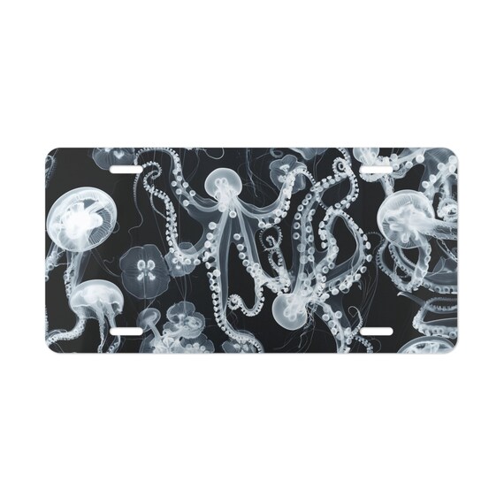 Octopus X Ray