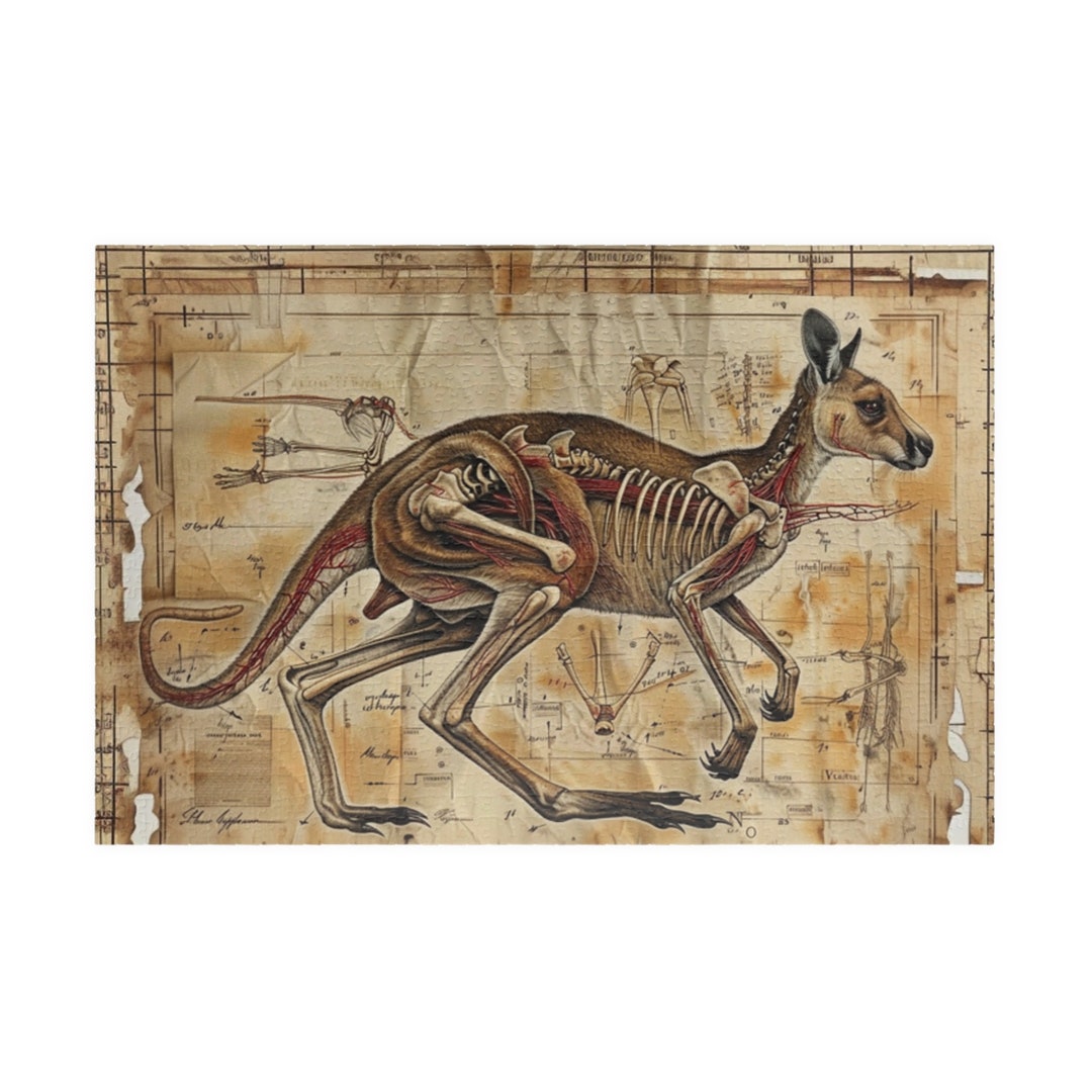 Kangaroo Anatomy Jigsaw Puzzle: Brain Teaser, Anatomy Jigsaw Puzzle ...