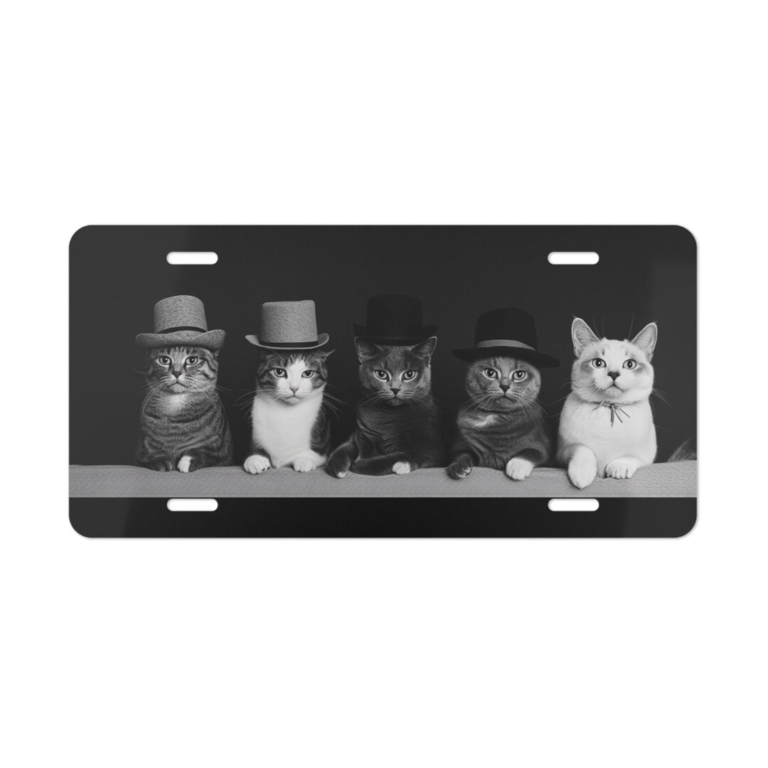 ON SALE, Cats With Hats Vanity Plate Black White Cat Art - Etsy
