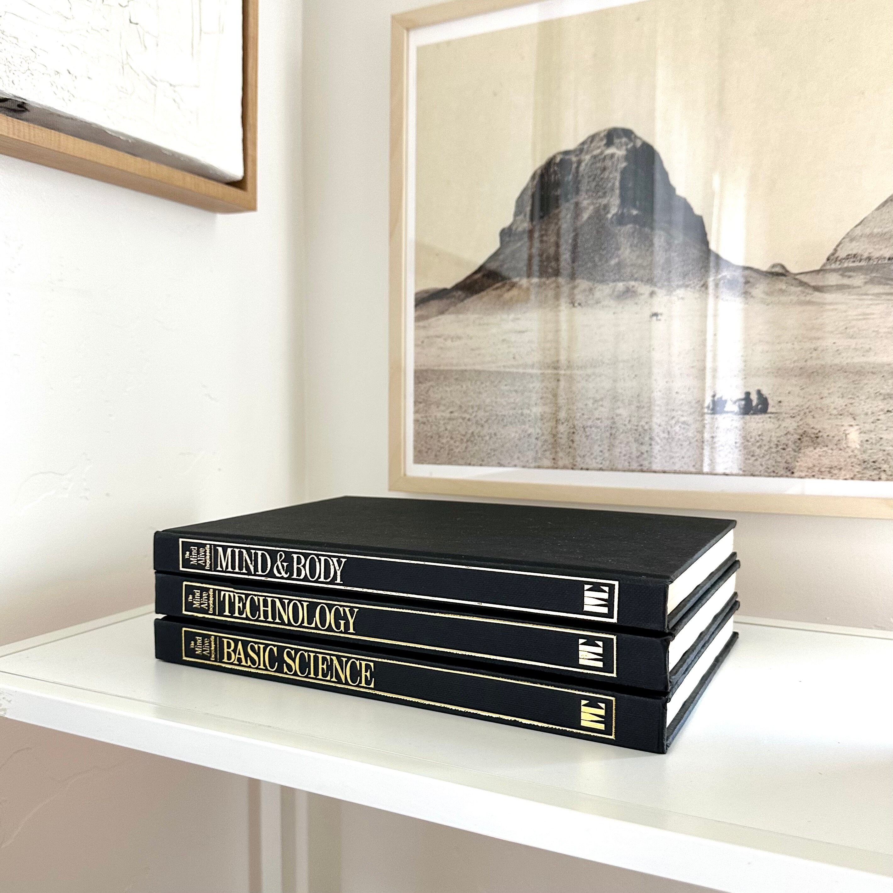 Decorative Black Encyclopedia Book Set - Neutral Books - Shelf Decor ...