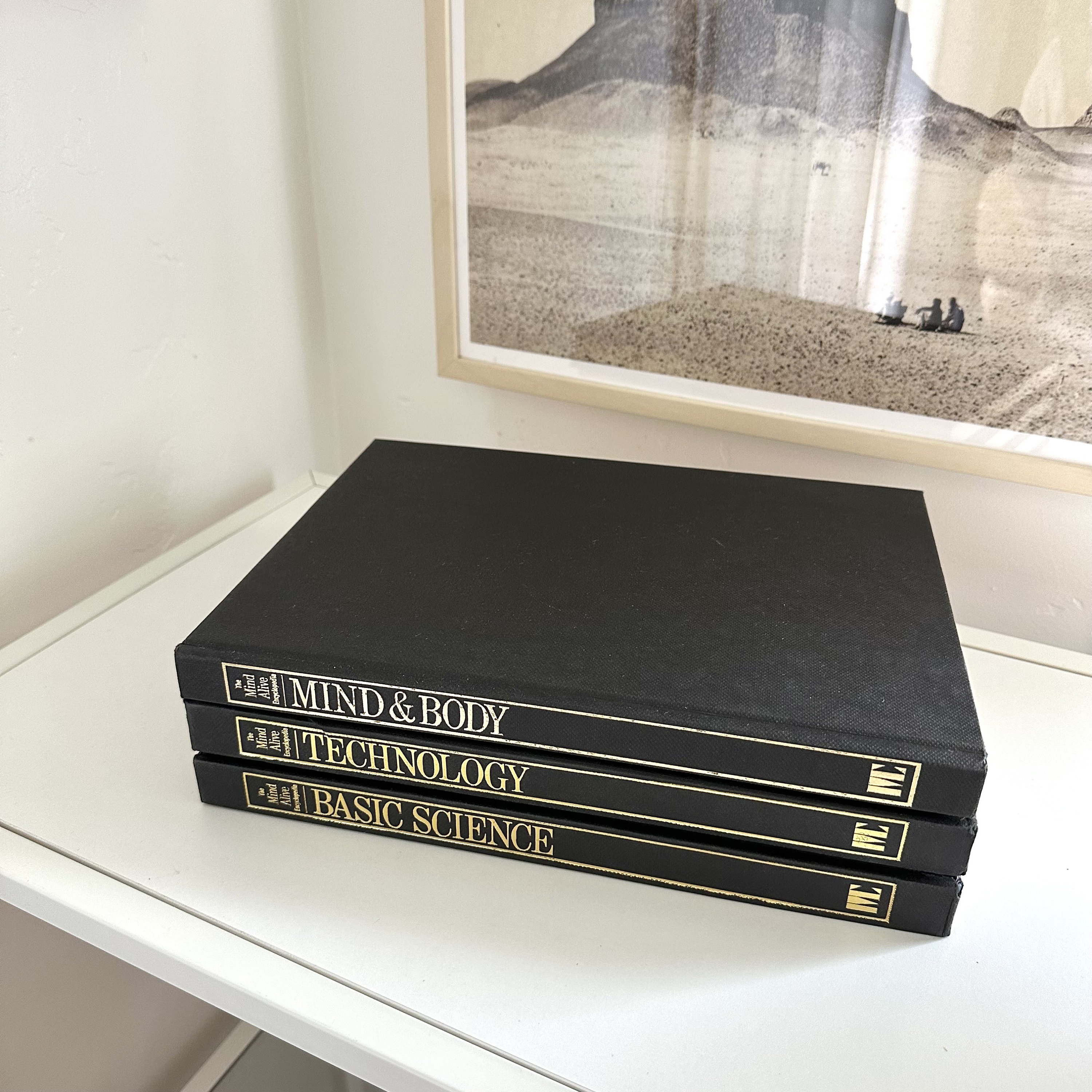 Decorative Black Encyclopedia Book Set - Neutral Books - Shelf Decor ...
