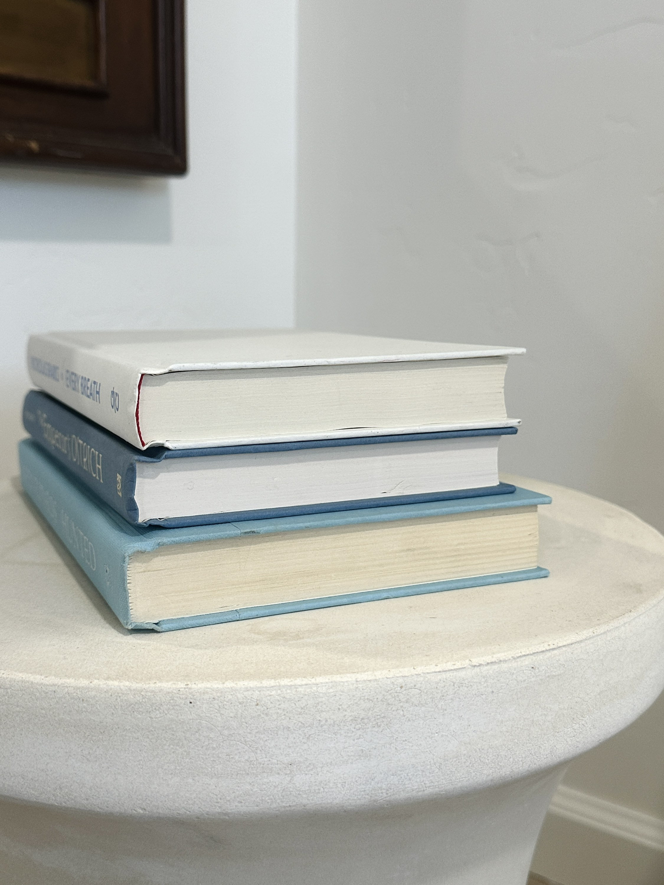 Blue Book Decor Decorative Blue Book Set Blue Books Blue Books Staging ...