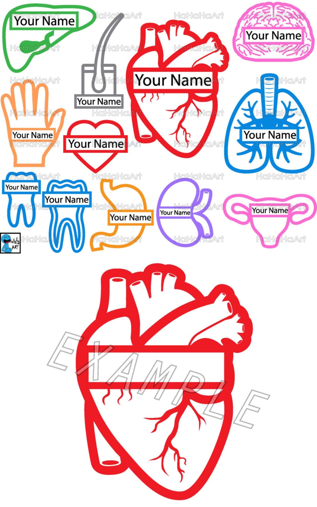 Split Organs Monogram Color Cutting Files Svg Png Jpg Eps Dxf Digital ...