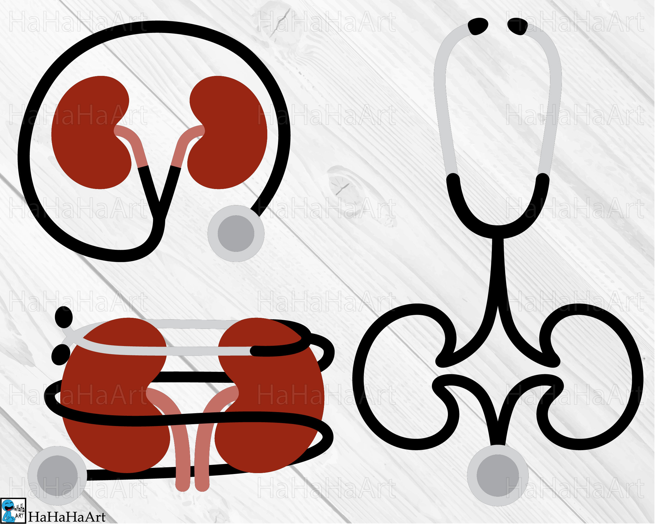 Kidneys and Stethoscope Clipart / Cutting Files Svg Png Jpg - Etsy UK