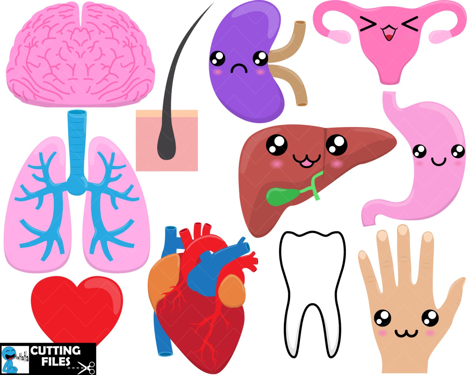 Cutting Files - Kawaii Organs - Digital Files SVG Eps Png Jpg Vinyl ...