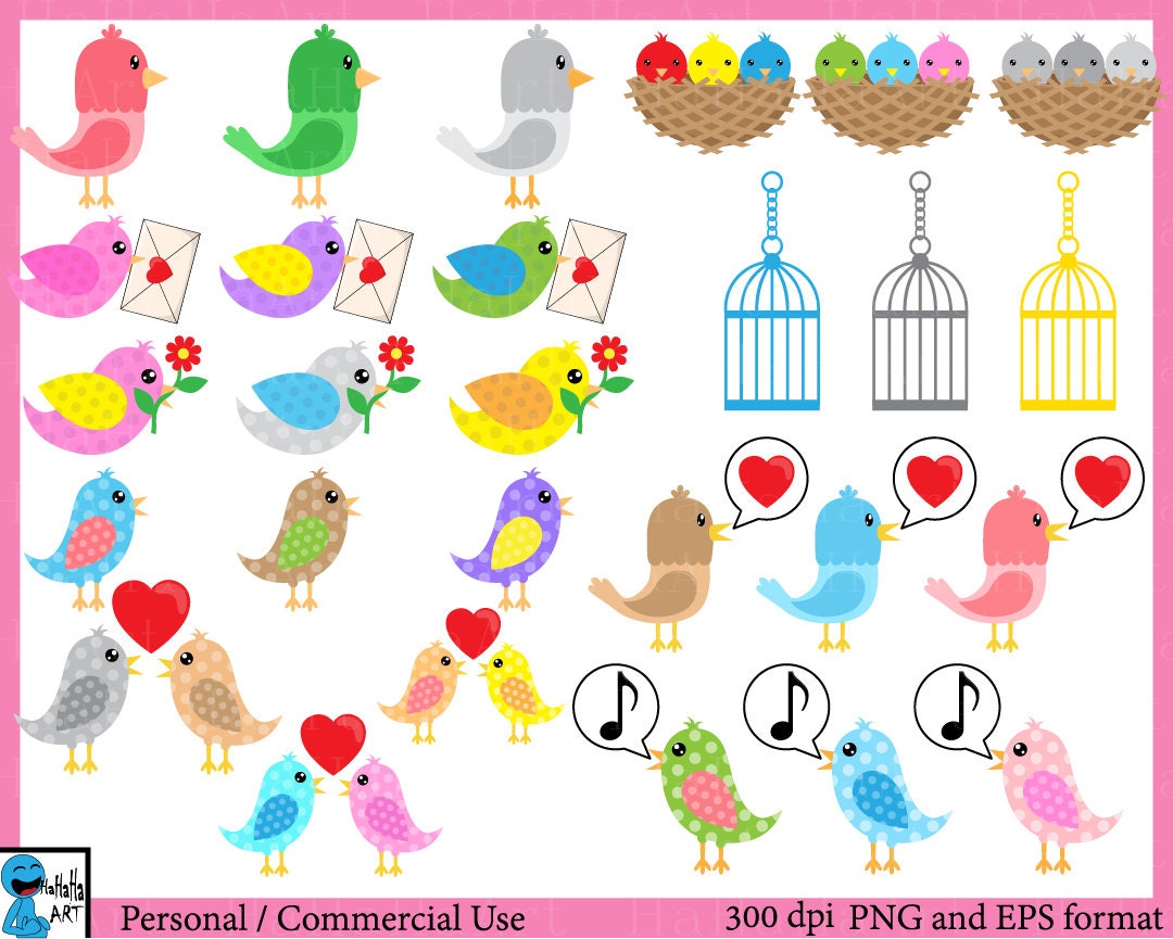 Cute Birds Set Clipart Digital Clip Art Graphics Personal - Etsy