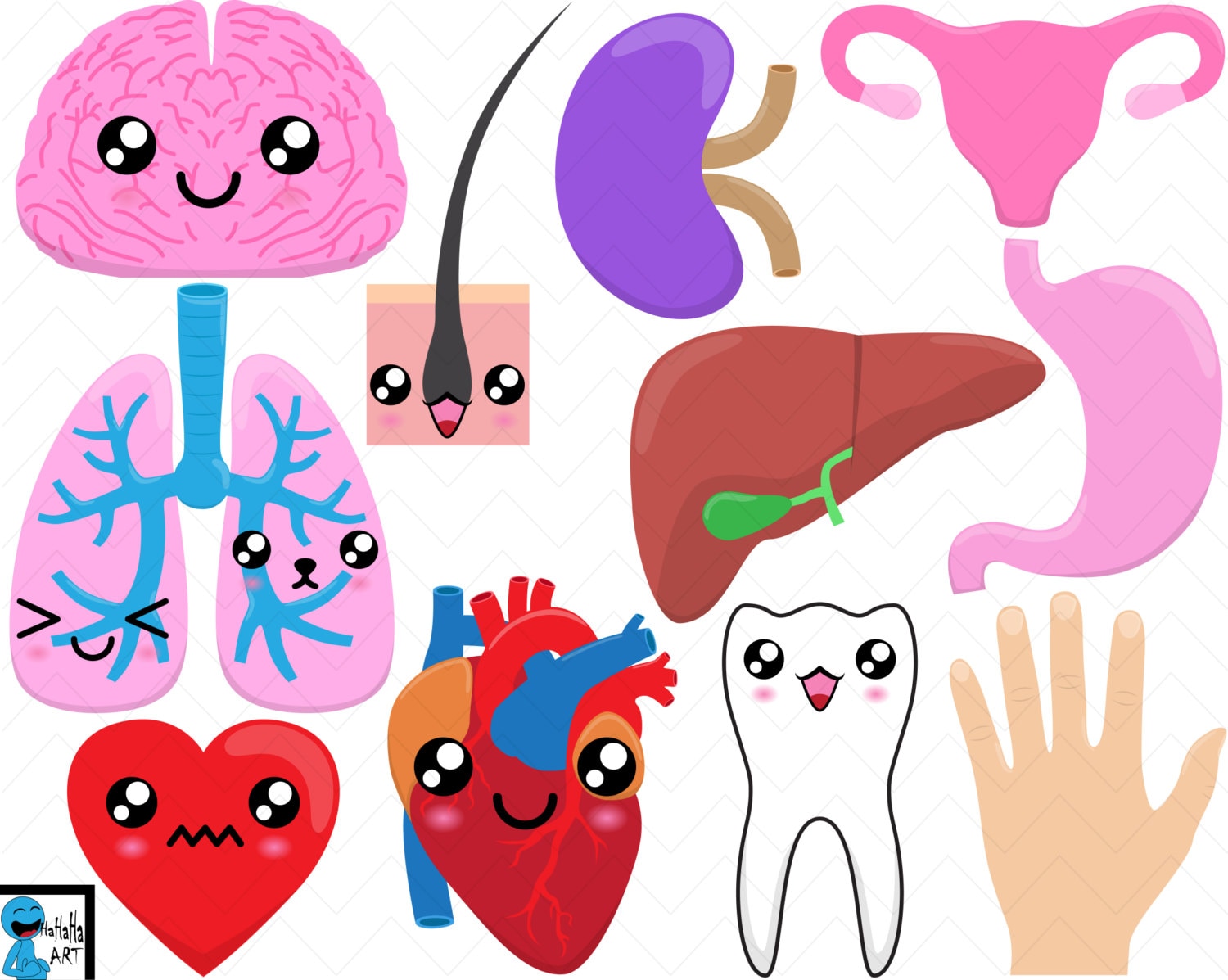 Kawaii Organs Digital Clipart Clip Art Graphics Personal | Etsy